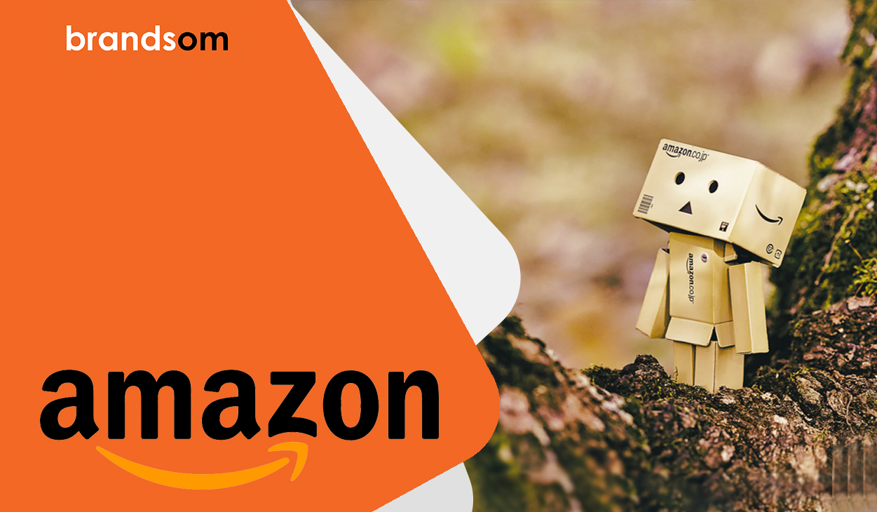 Amazon Brand Story: a feature in Amazon's A+ Content!